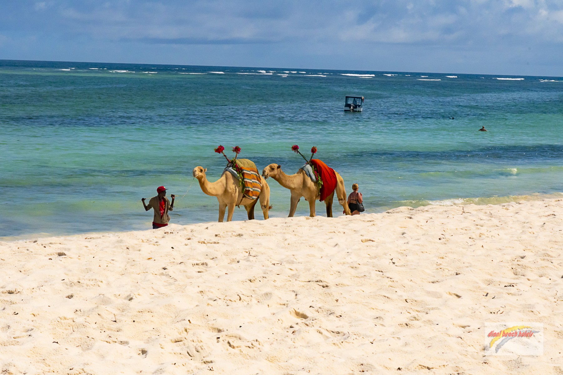 Book This Experience